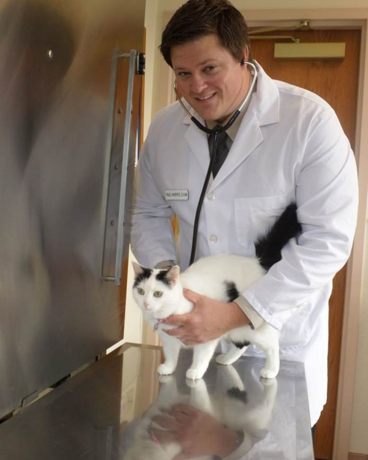 Hospital Information | Green Acres Veterinary Center